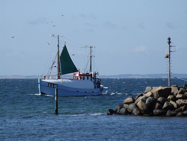 fiskekutter-20